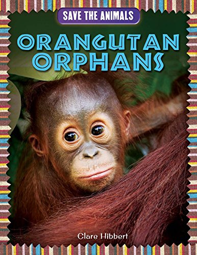 Orangutan Orphans (Save the Animals) by Clare Hibbert | Goodreads