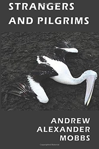 Strangers and Pilgrims by Andrew Alexander Mobbs | Goodreads
