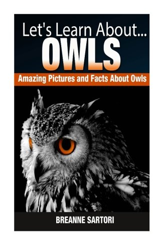 Owls by Breanne Sartori | Goodreads