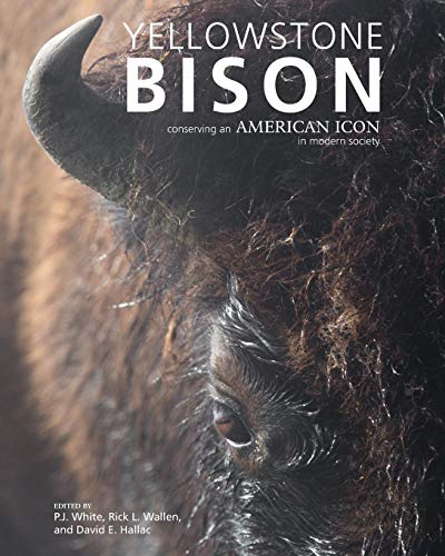 Yellowstone Bison: Conserving an American Icon in Modern Society by P.J ...