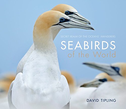 Seabirds of the World: Secret Realm of the Oceans' Wanderers by David ...
