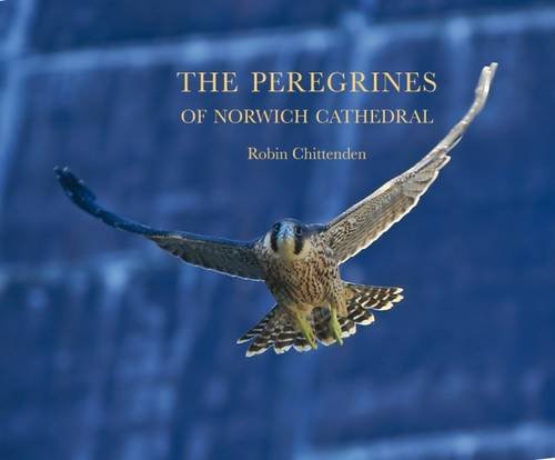 The Peregrines Of Norwich Cathedral by Robin Chittenden | Goodreads