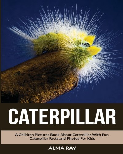 Caterpillar: A Children Pictures Book About Caterpillar With Fun ...