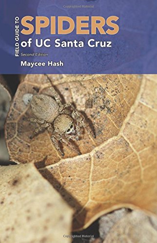 Field Guide to spiders of UC Santa Cruz, Second Edition by Maycee Hash ...