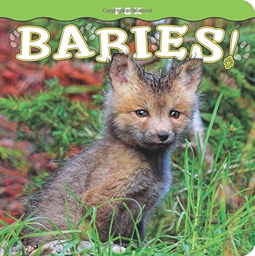 Fox Babies! (Babies! (Farcountry Press)) by Steve Hinch | Goodreads