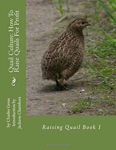 Quail Culture: How To Raise Quails For Profit: Raising Quail Book 1 by ...