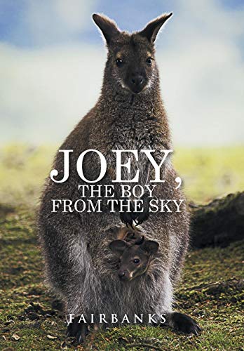 Joey, the Boy from the Sky by Fairbanks | Goodreads