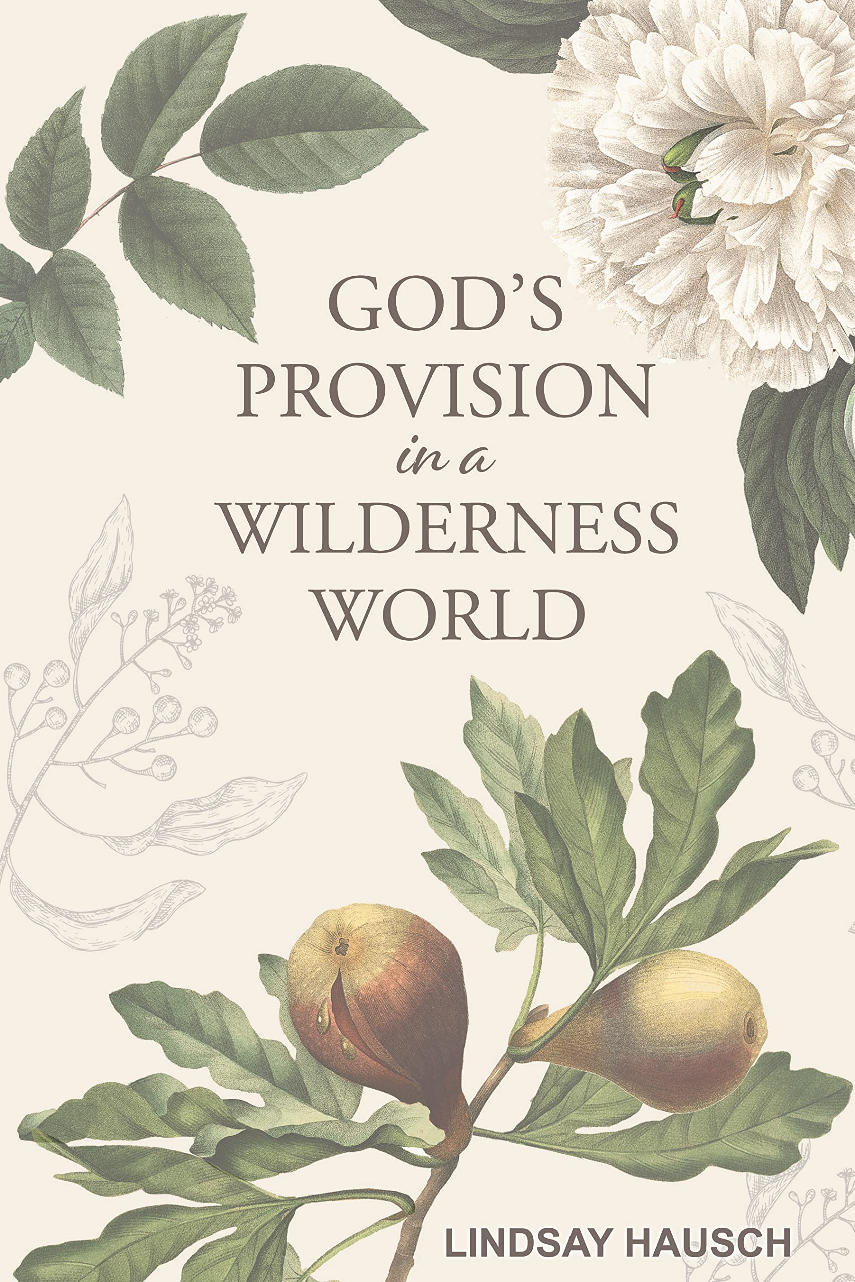 God's Provision in a Wilderness World by Lindsay Hausch | Goodreads