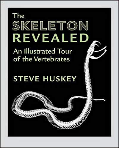 The Skeleton Revealed: An Illustrated Tour of the Vertebrates by Steve ...