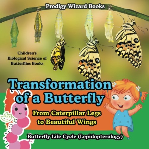 Transformation of a Butterfly: From Caterpillar Legs to Beautiful Wings ...