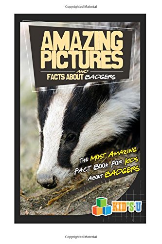 Amazing Pictures and Facts about Badgers: The Most Amazing Fact Book ...