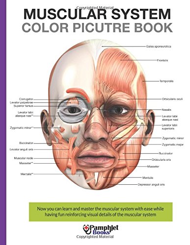 Muscular System Color Picture Book: Beautiful illustrations with ...