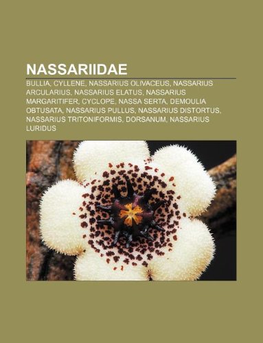 Nassariidae: Bullia, Cyllene, Nassarius Olivaceus, Nassarius Arcularius ...