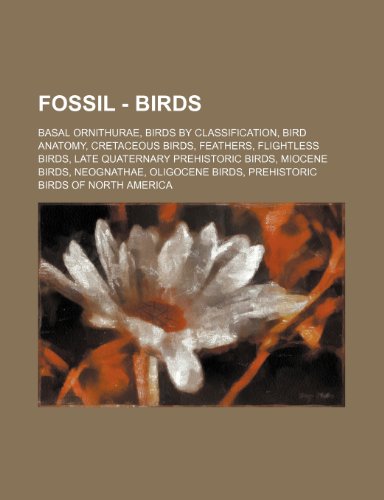 Fossil - Birds: Basal Ornithurae, Birds by Classification, Bird Anatomy ...