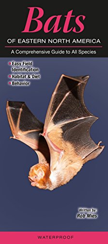 Bats of Eastern North America: A Comprehensive Guide to All Species by ...