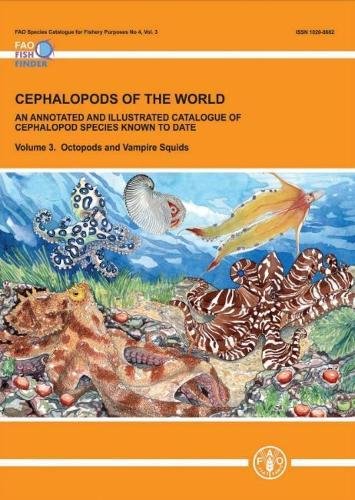 Cephalopods of the World. An Annotated and Illustrated Catalogue of ...