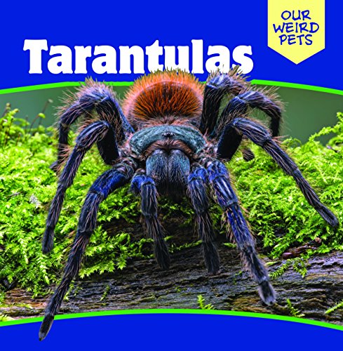 Tarantulas (Our Weird Pets) by Patrick Hely | Goodreads