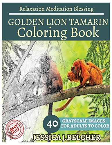 Golden Lion Tamarin Coloring Book for Adults Relaxation Meditation ...