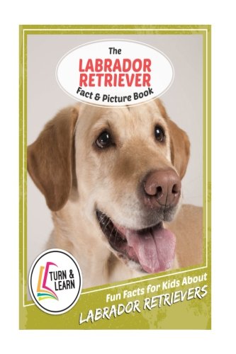 The Labrador Retriever Fact and Picture Book: Fun Facts for Kids about ...