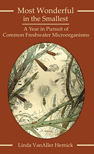 Most Wonderful in the Smallest: A Year in Pursuit of Common Freshwater ...