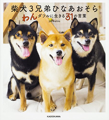 Shiba inu kyodai Hina ao sora by Yu Matsu | Goodreads