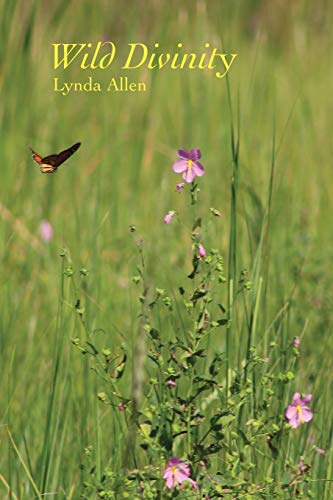 Wild Divinity by Lynda Allen | Goodreads