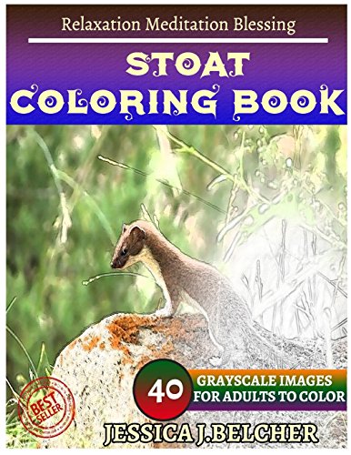 Stoat Coloring Books: For Adults and Teens Stress Relief Coloring Book ...