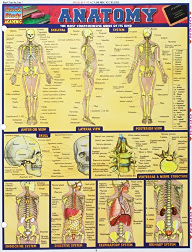 Anatomy - Quick Study Academic BarCharts by BarCharts Inc. | Goodreads