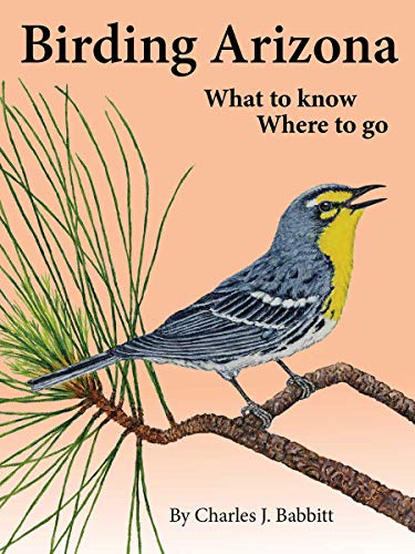 Birding Arizona - What to Know, Where to Go by Charles Jacob Babbitt ...