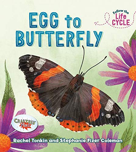 Egg to Butterfly (Follow the Life Cycle) by Rachel Tonkin | Goodreads