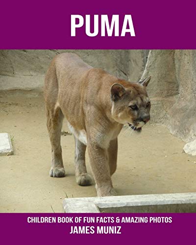 Puma: Children Book of Fun Facts & Amazing Photos by James Muniz ...