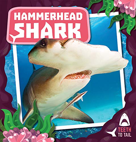 Hammerhead Shark by Robin Twiddy | Goodreads