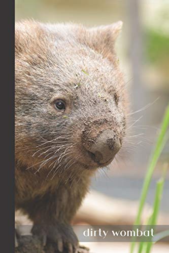 dirty wombat: small lined Wombat Notebook / Travel Journal to write in ...