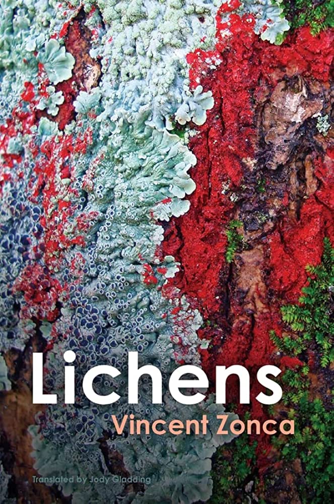 Lichens: Toward a Minimal Resistance by Vincent Zonca | Goodreads