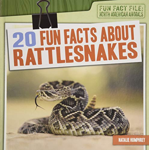 Fun Fact File: North American Animals (Set) by Various | Goodreads