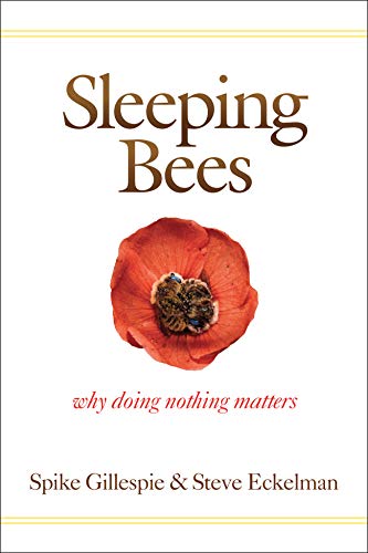 Sleeping Bees: Why Doing Nothing Matters by Spike Gillespie | Goodreads