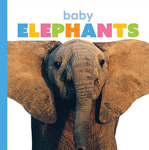 Baby Elephants by Kate Riggs | Goodreads