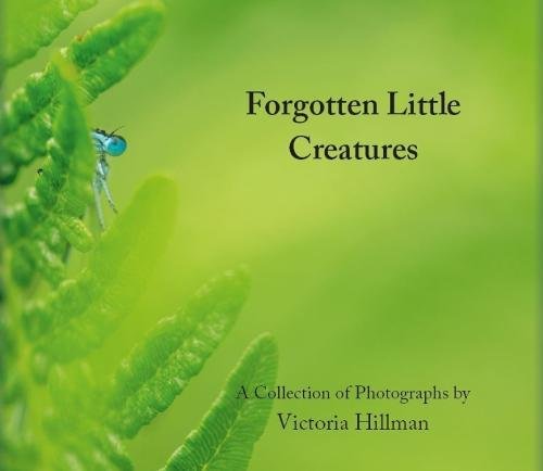 Forgotten Little Creatures by Victoria Hillman | Goodreads