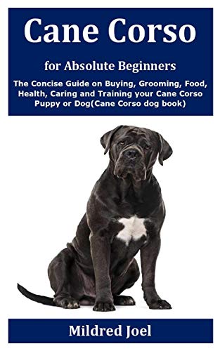 Cane Corso for Absolute Beginners: The Concise Guide on Buying ...