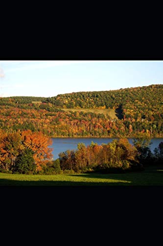 Narcissist: How to End the Nightmare and Take Care of Your Life. 7 Books in 1 Includes ...