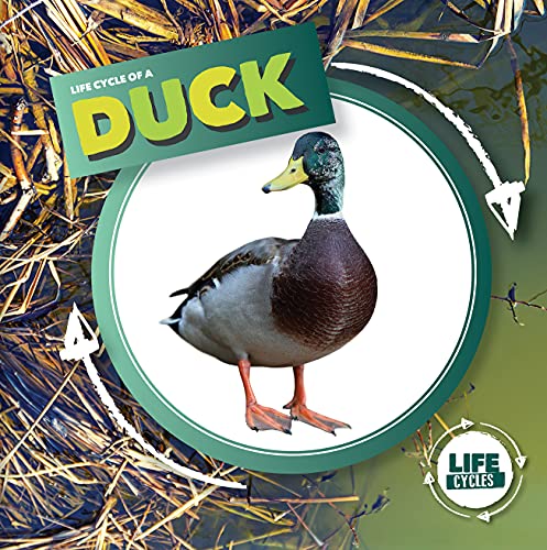 Life Cycle of a Duck (Life Cycles) by Kirsty Holmes | Goodreads