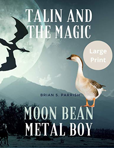 Talin and the Magic Moon Bean Metal Boy by Brian S Parrish | Goodreads