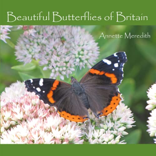 Beautiful Butterflies of Britain by Annette Meredith | Goodreads