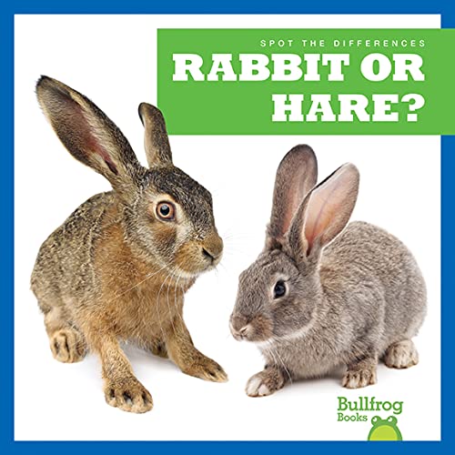 Spot the Difference: Rabbit or Hare? by Jamie Rice | Goodreads