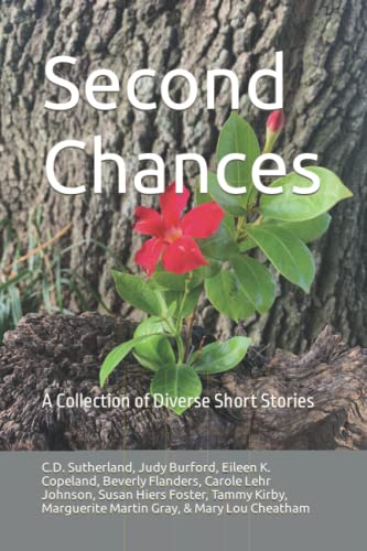Second Chances: A Collection of Diverse Short Stories by C.D ...
