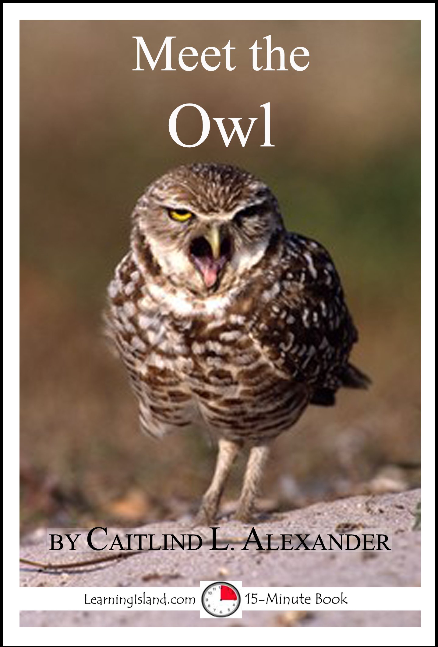 Meet the Owl: A 15-Minute Book by Caitlind L. Alexander | Goodreads