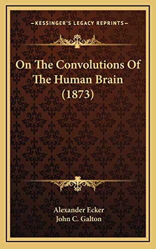 On The Convolutions Of The Human Brain (1873) by Alexander Ecker ...