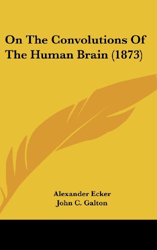On the Convolutions of the Human Brain (1873) by Alexander Ecker ...