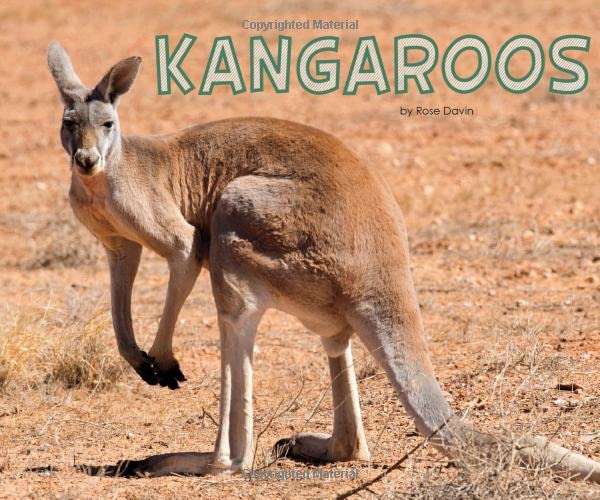 Kangaroos by Rose Davin | Goodreads