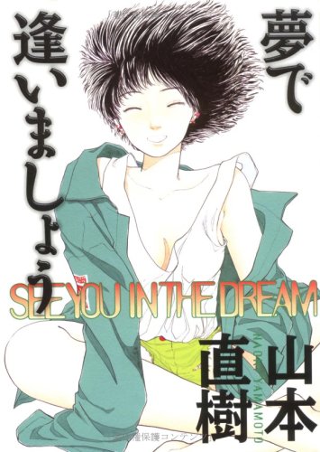 Let's meet in a dream (Ohta comics-Naoki Yamamoto SELECTION) (1999) ISBN: 4872334906 [Japanese ...